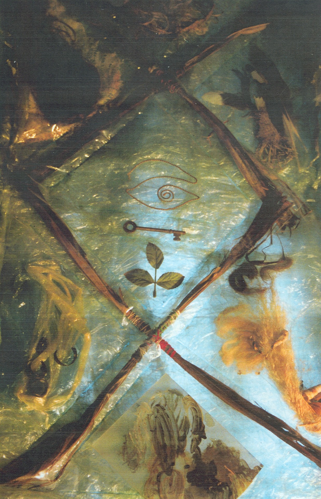 1992 Myself as a Bag – robyn webster, artist